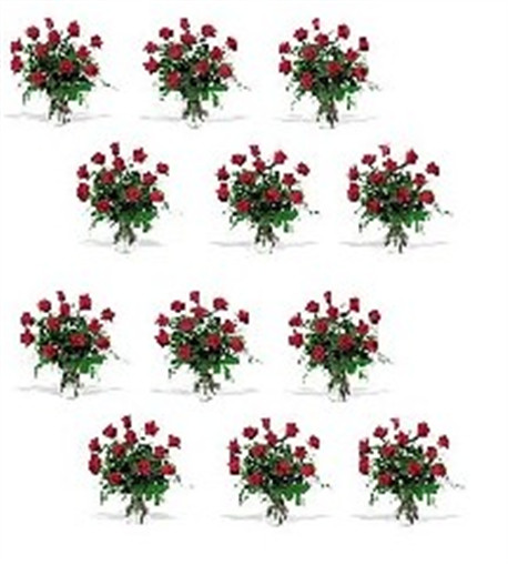 Twelve Month Dozen Red Roses - Alan's Flowers and Gifts
