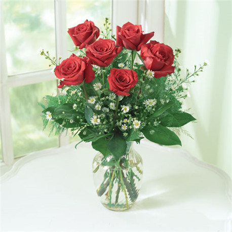 Half Dozen Red Roses - Alan's Flowers and Gifts