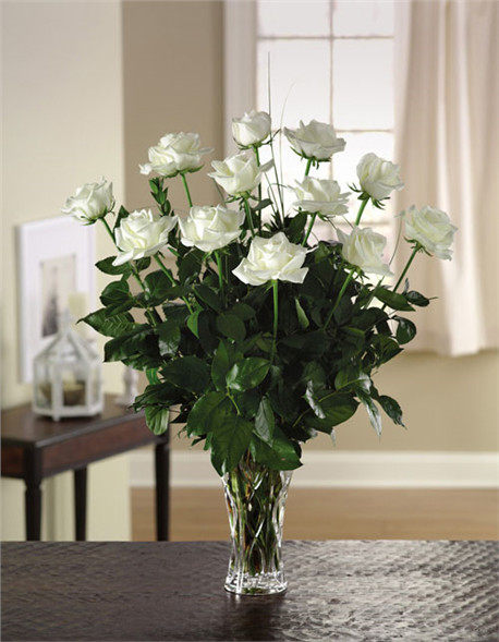 A Dozen Premium White Roses - Alan's Flowers and Gifts
